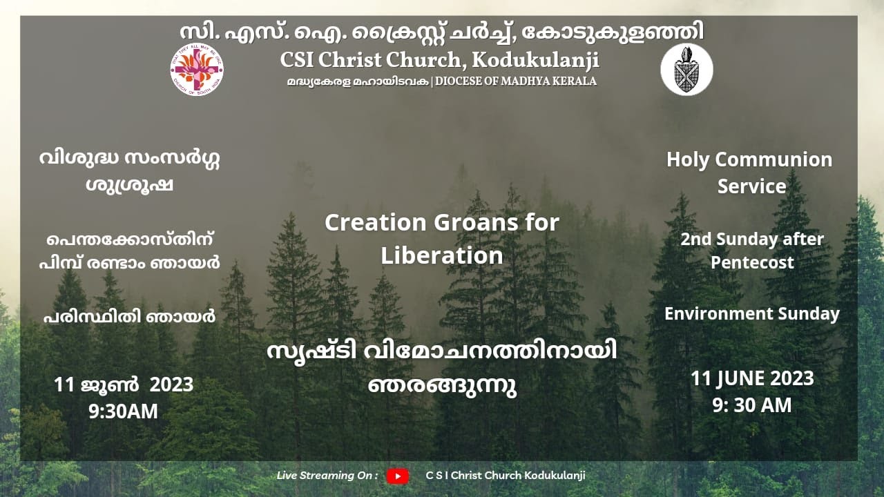11-June-2023 | Environment Sunday | Creation Groans for Liberation ...