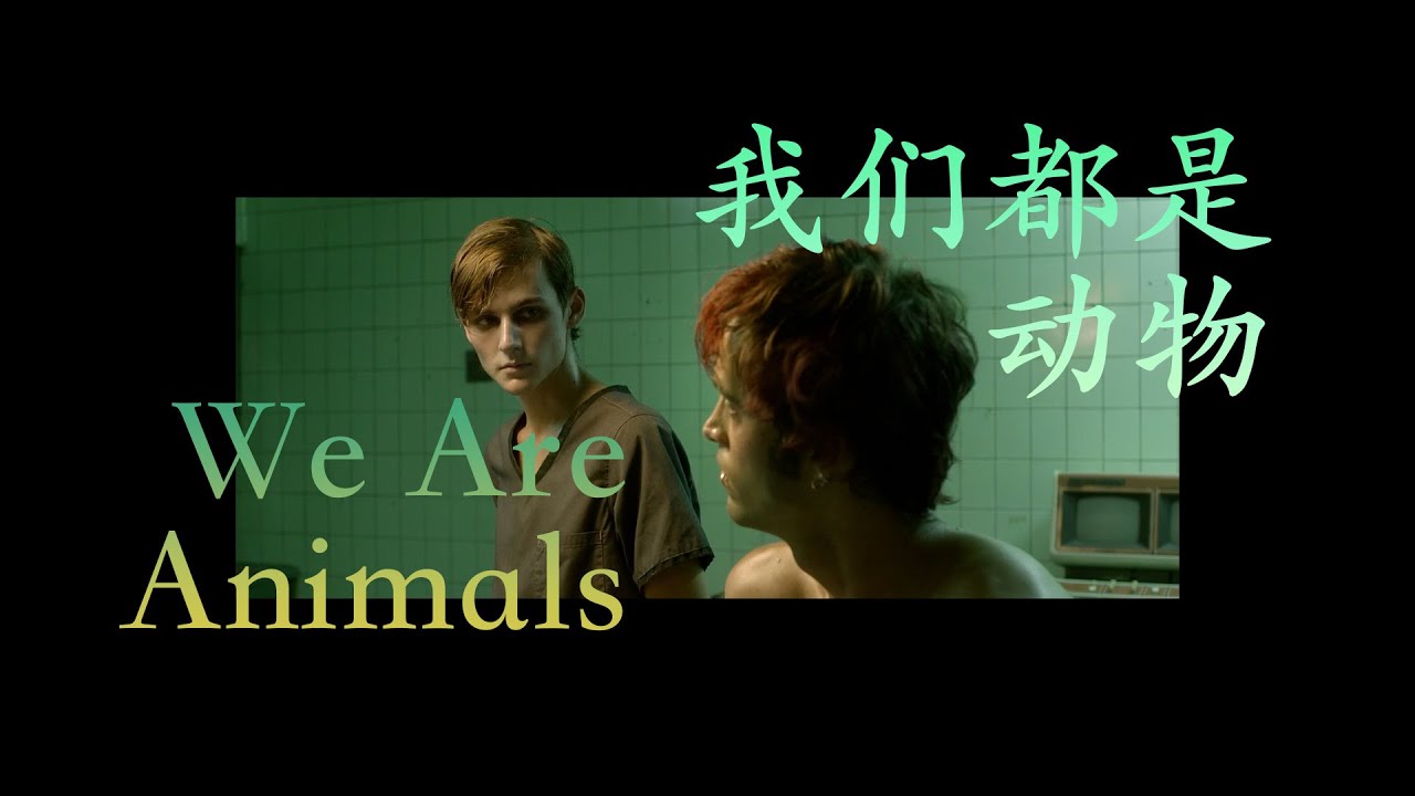 【剧情向】我们都是动物/我们是野兽 We Are Animals - YouTube