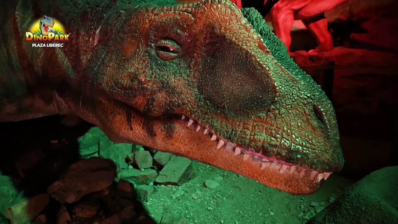 DinoPark Liberec 2020 😍 - YouTube