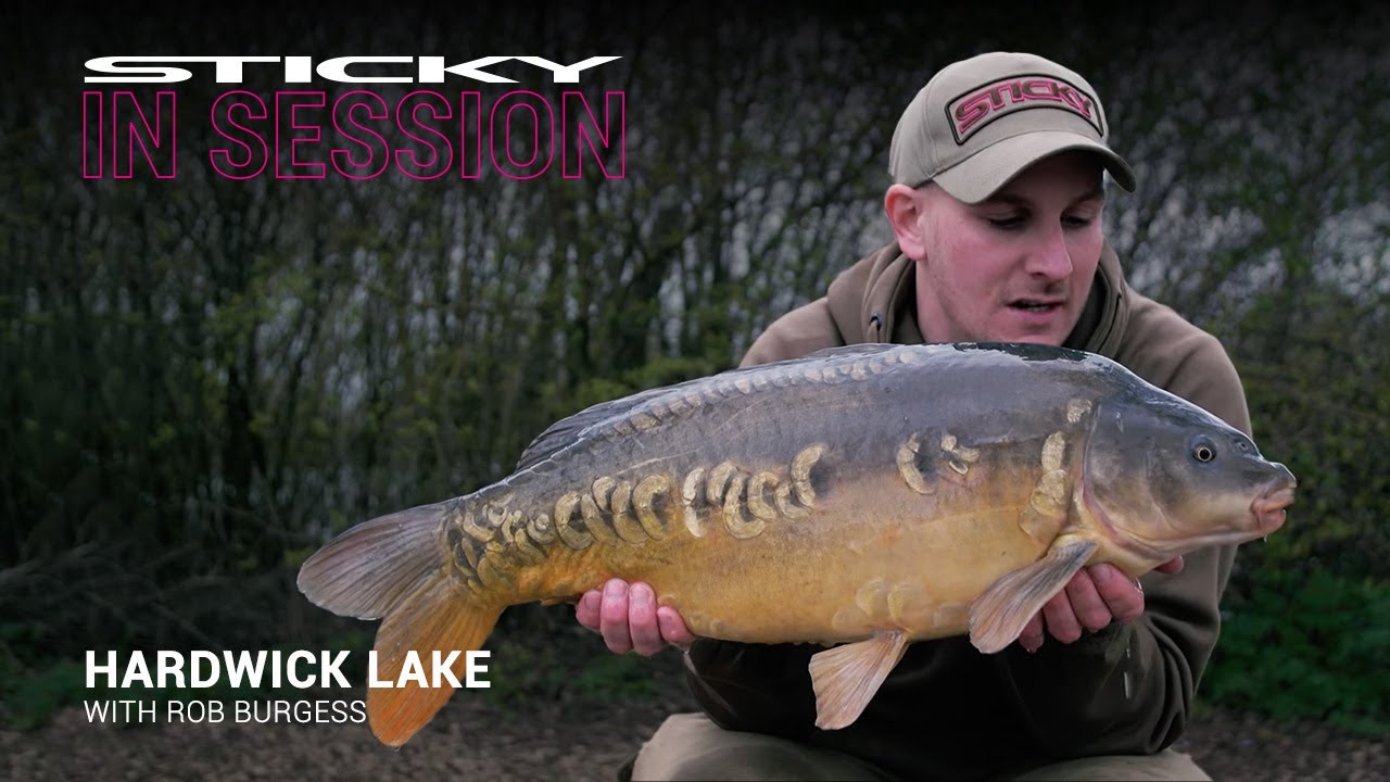 Hardwick lake – Rob's 11 fish haul using Manilla - YouTube