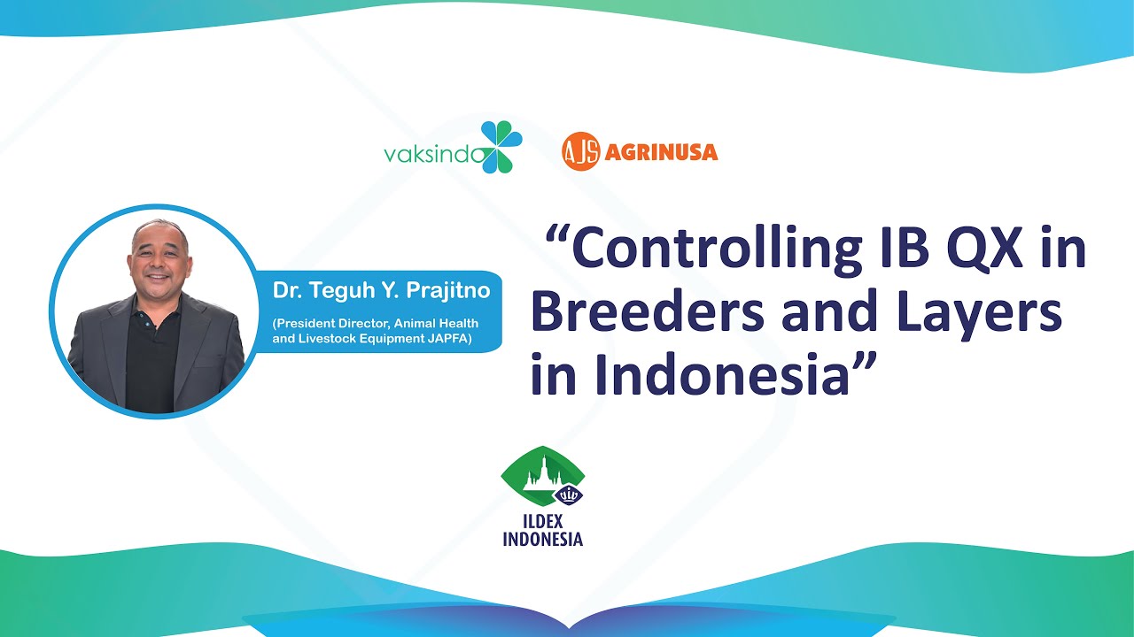 Controlling IB QX in Breeders and Layers in Indonesia - By Dr. Teguh Y ...