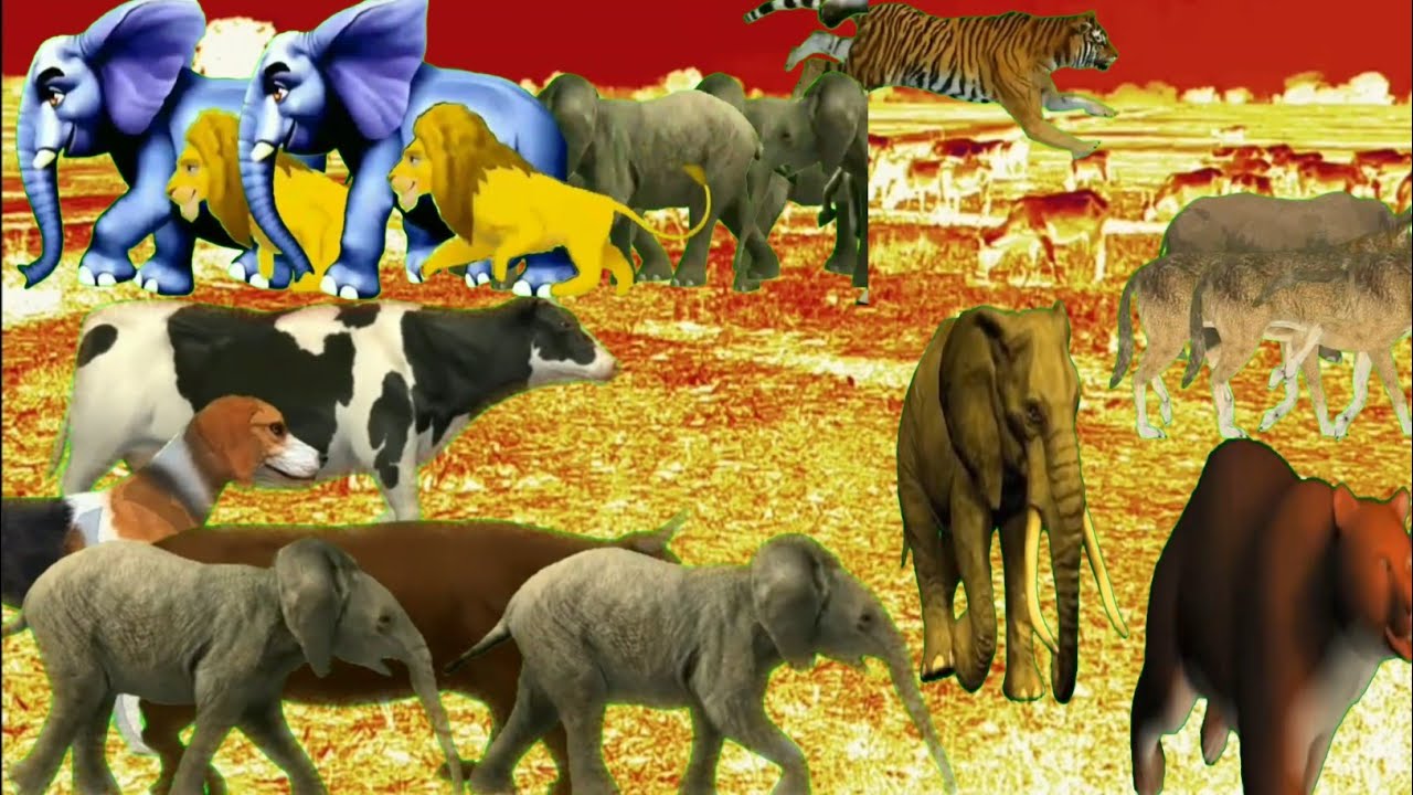 all animals speed comparison || fasted dinosaur 3D comparison running ...