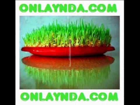 Aygün Kazımova-Novruz Gəlir(onlaynda.com)