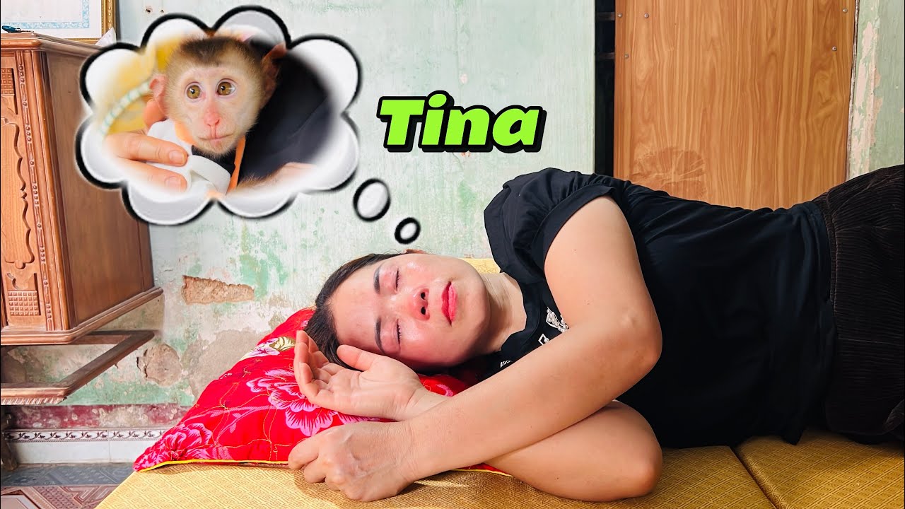 Mom was very sad when she didn't see monkey Tina - YouTube