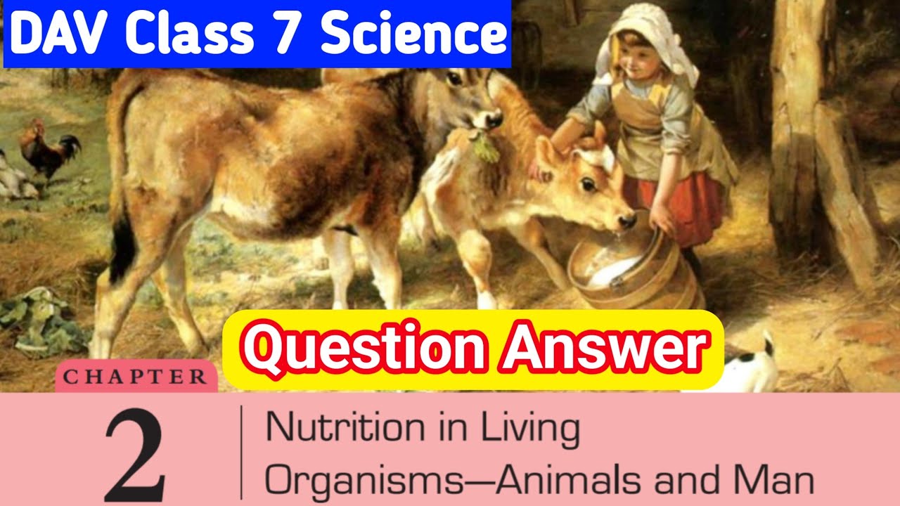 DAV Class 7 Science Chapter 2 Question Answer YouTube dav-class-7-science-chapter-2-question-answer-youtube
