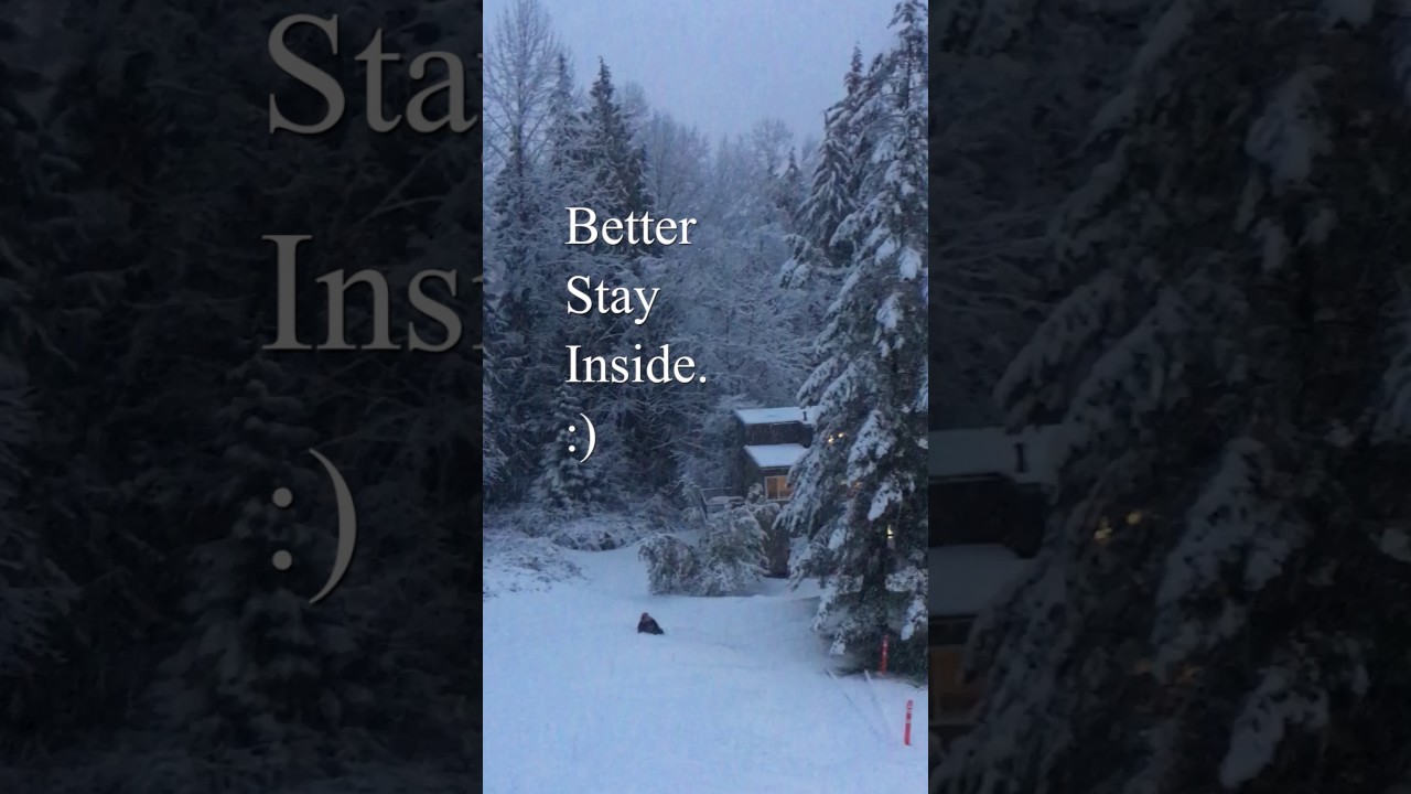 Happy Snow Day Friday Vancouver - YouTube