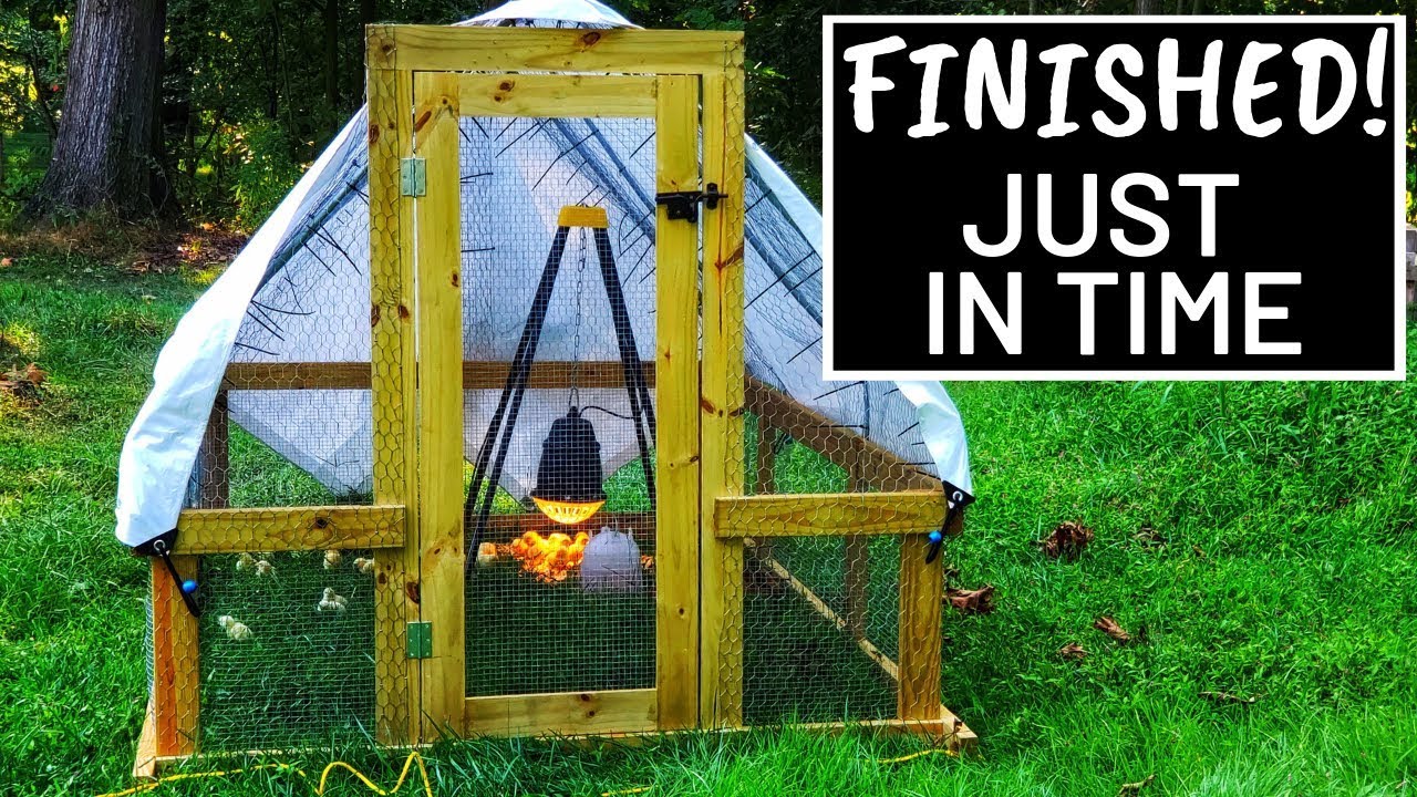 Chicken Tractor Is Finished And Just In Time Our Meat Birds Have ...