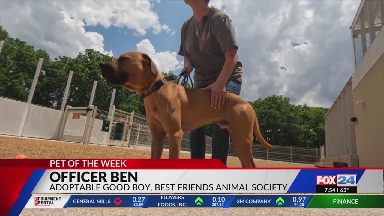 Purina Presents: Meet Officer Ben in Pet of the Week - YouTube