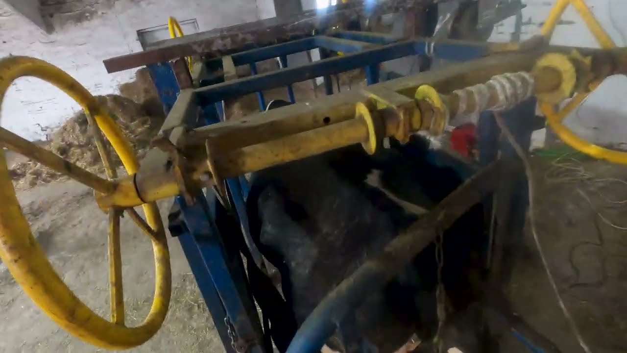 Cow Milking Equipment Cowshed Cleaning Farming Newborn Calf Tractor ...