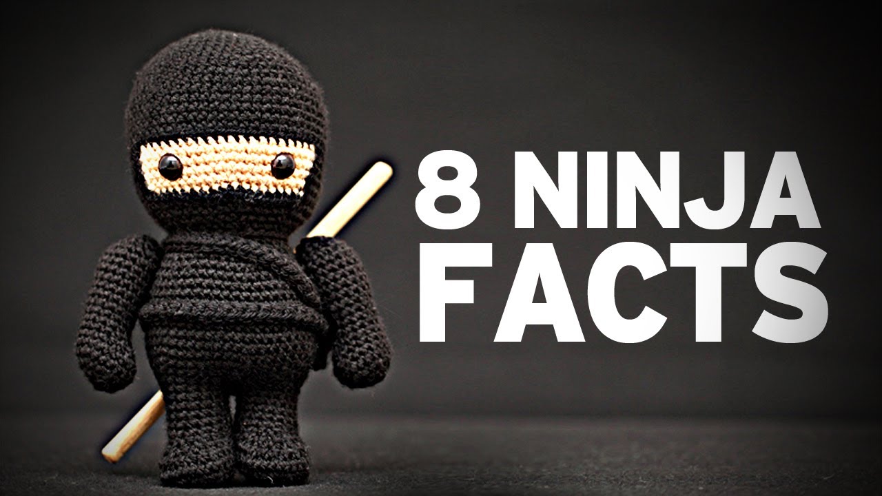 8 Ninja Facts YouTube 8-ninja-facts-youtube