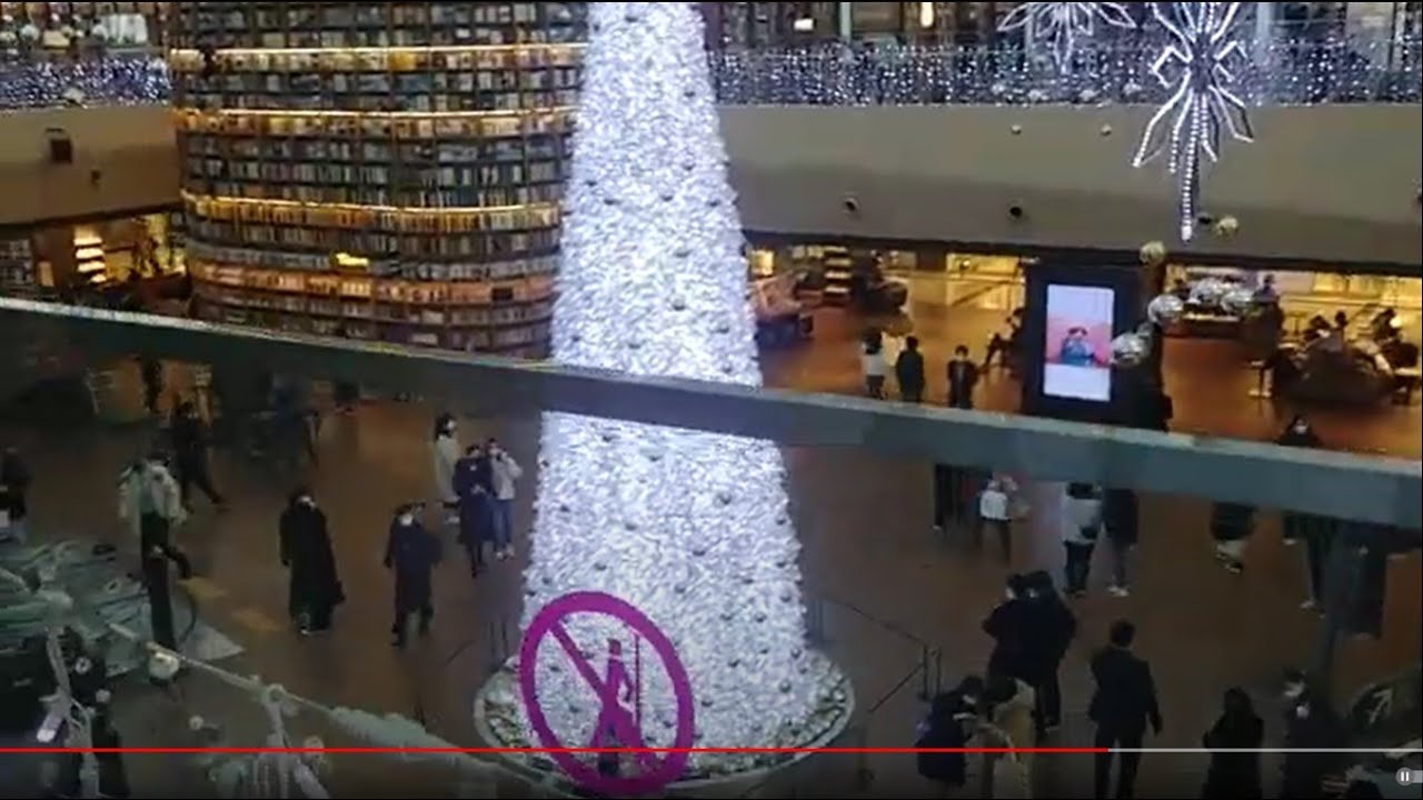 코엑스 별마당 도서관 트리2 Christmas Tree @COEX Starfield Library, - YouTube