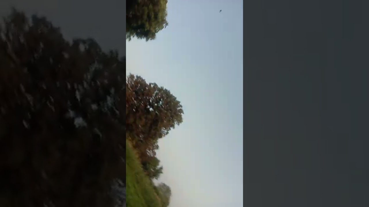 beautiful natural video beautiful natural status ☺️☺️☺️☺️(4) - YouTube