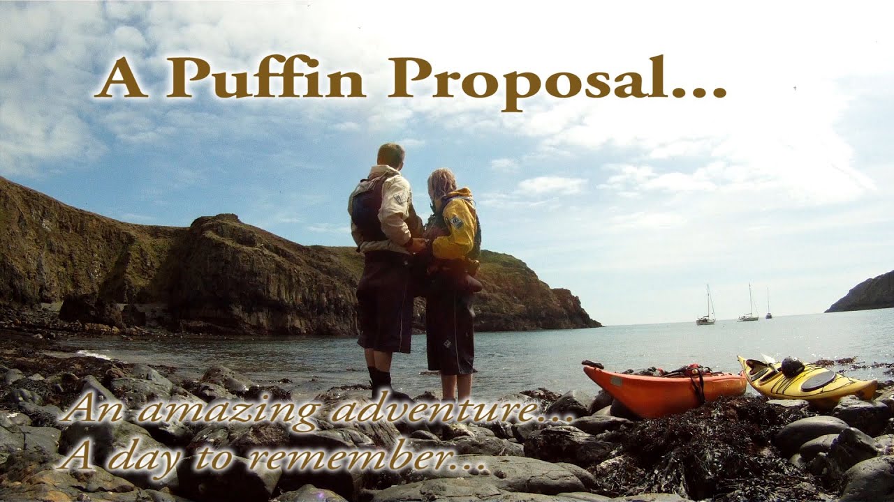 A Puffin Wedding Proposal by Sea Kayak on Skomer Island. - YouTube