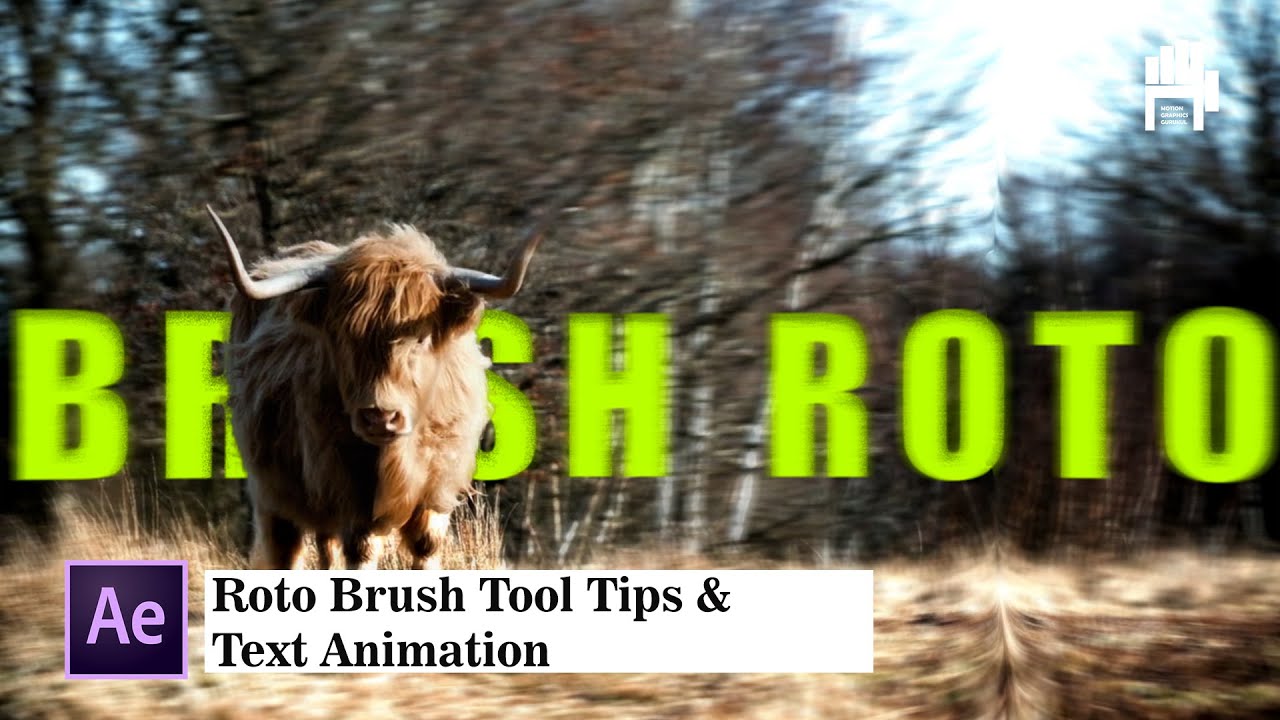 Roto Brush Tool Basics | Text Animation | After Effects Tutorial Part ...