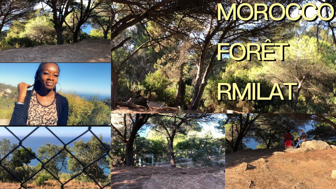 RMILAT FOREST🇲🇦|FORÊT RMILAT|PARK RMILAT|🇪🇸TANGER FOREST |MOROCCO AND ...