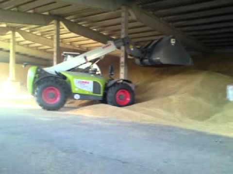 Claas Telelader schiebt Gerste hoch - YouTube