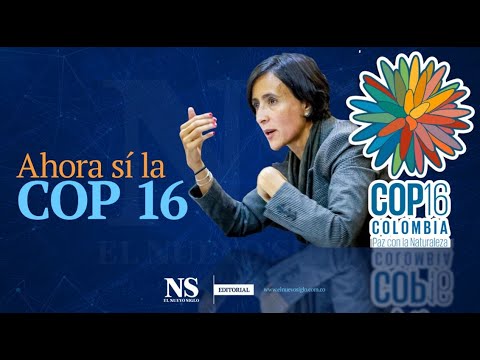 Ahora sí la COP16 | Editorial El Nuevo Siglo 12 de octubre 2024 - YouTube