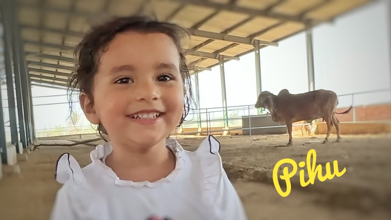 Pihu Gomata se dosti karli 😱 Pihu cute moments || Pihu and Rasbhari ...