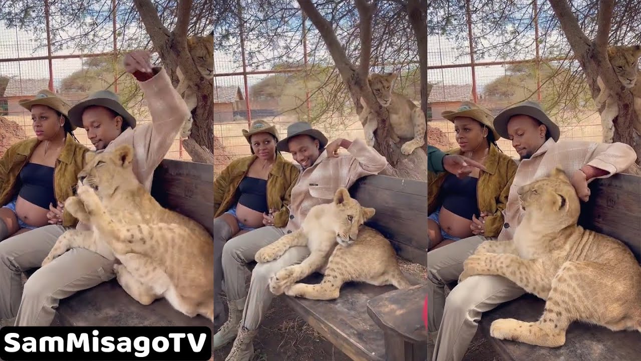 NANDY Avujisha Video Ya BILLNASS Alivyotaka Kung'atwa Na SIMBA ...