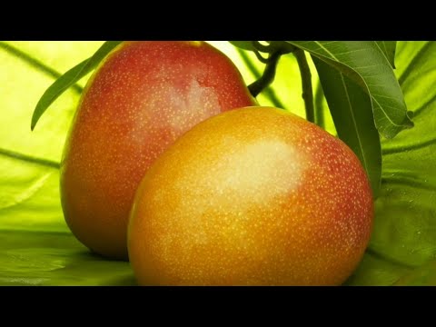 Variedades de mangos de latino america en imágenes seleccionadas parte ...