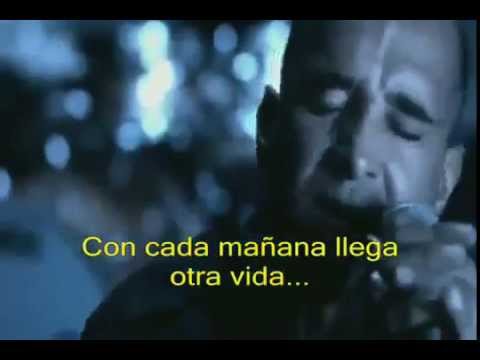 Creed - Rain (Subtitulada Al Español) - YouTube