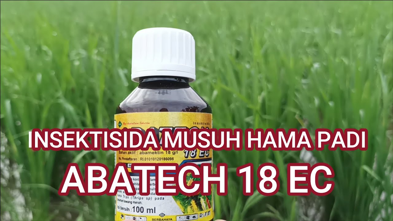 INSEKTISIDA ABATECH 18 EC MUSH HAMA PADI - YouTube