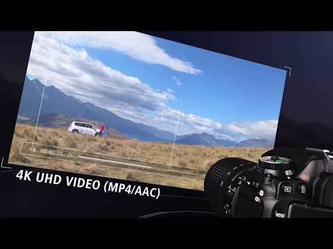 Nikon D7500 Digital SLR Camera @ JB HIFI