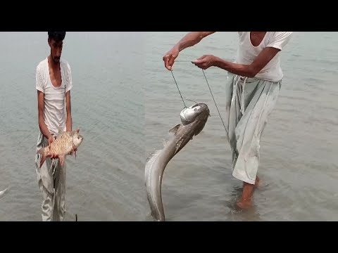 awesome cat fish||Rahu fish||naran fish||cat fish hunting in pakistan ...