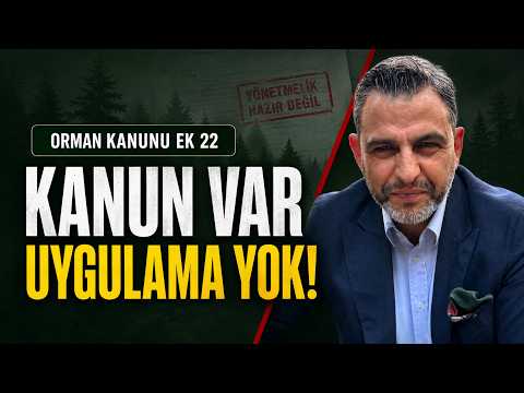 Orman Kanunu Çıktı Ama Uygulanmıyor! “Yönetmelik Yok” Cevabı Hukuka Uygun mu?