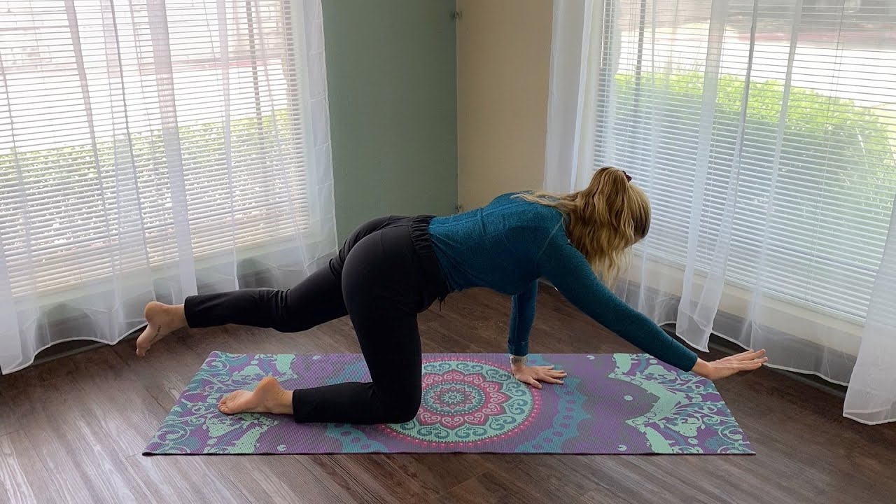 Lower Back Stretch-Birddog - YouTube
