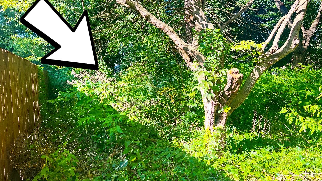 Angry Neighbor demands SHE clean up yard despite HEART ATTACK and Open ...