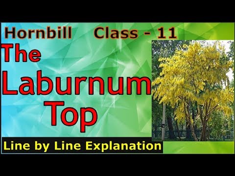 The Laburnum Top - LINE BY LINE EXPLANATION | Class 11 - Hornbill - YouTube