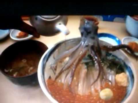 Dancing dead octopus - YouTube
