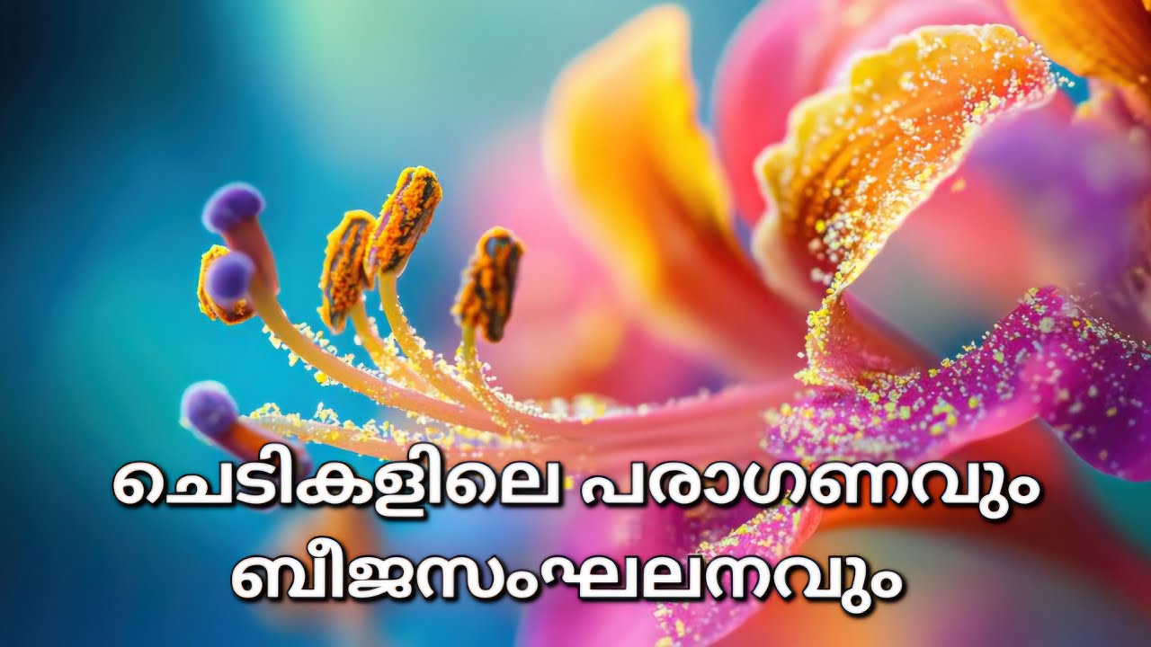 POLLINATION AND FERTILISATION IN PLANTS |CLASS 6| |PART 6| #pollination ...