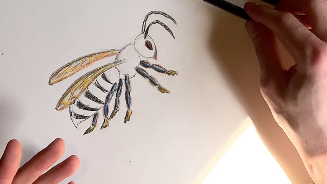 KS3 Art lesson - How to draw a bee (part 2 of 2). - YouTube