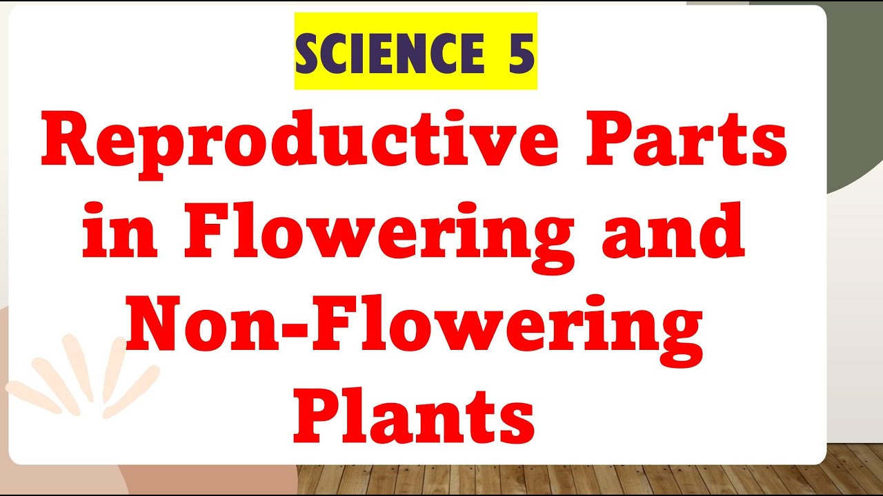 SCIENCE 5 : Reproductive Parts in Flowering and Non-Flowering Plants ...