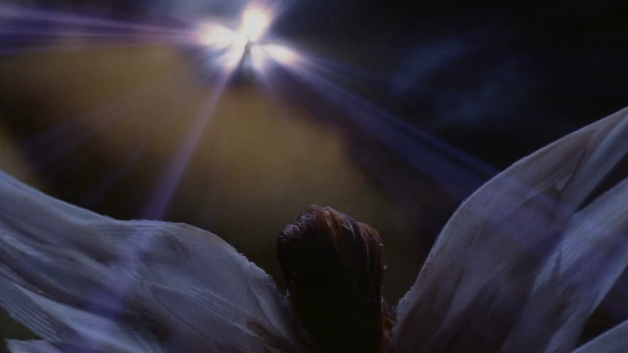 Archangel Raphael Symbols - What are the Archangel Raphael Symbols ...