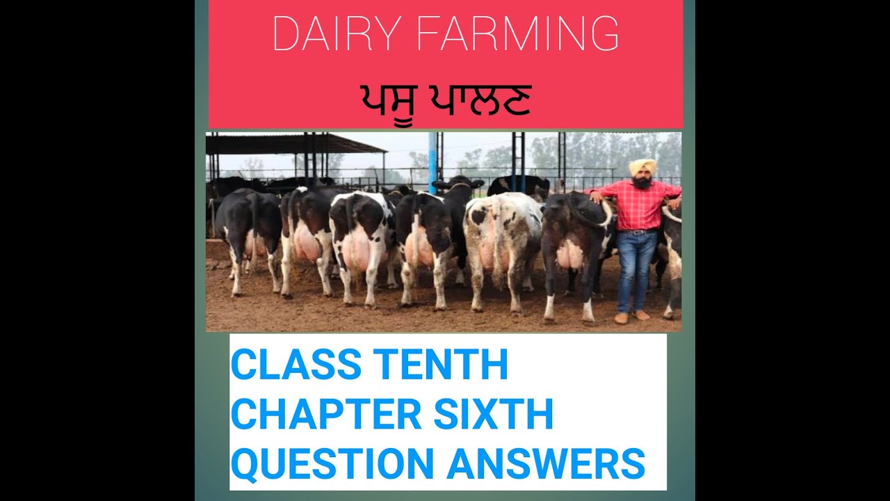 Dairy Farming Class Ninth Chapter Sixth Que- Ans with PDF in ...