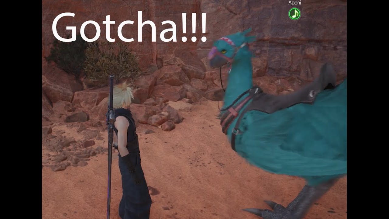 How to capture Aponi Chocobo - Cosmo Canyon (Cosmo Canyon's Soaring ...