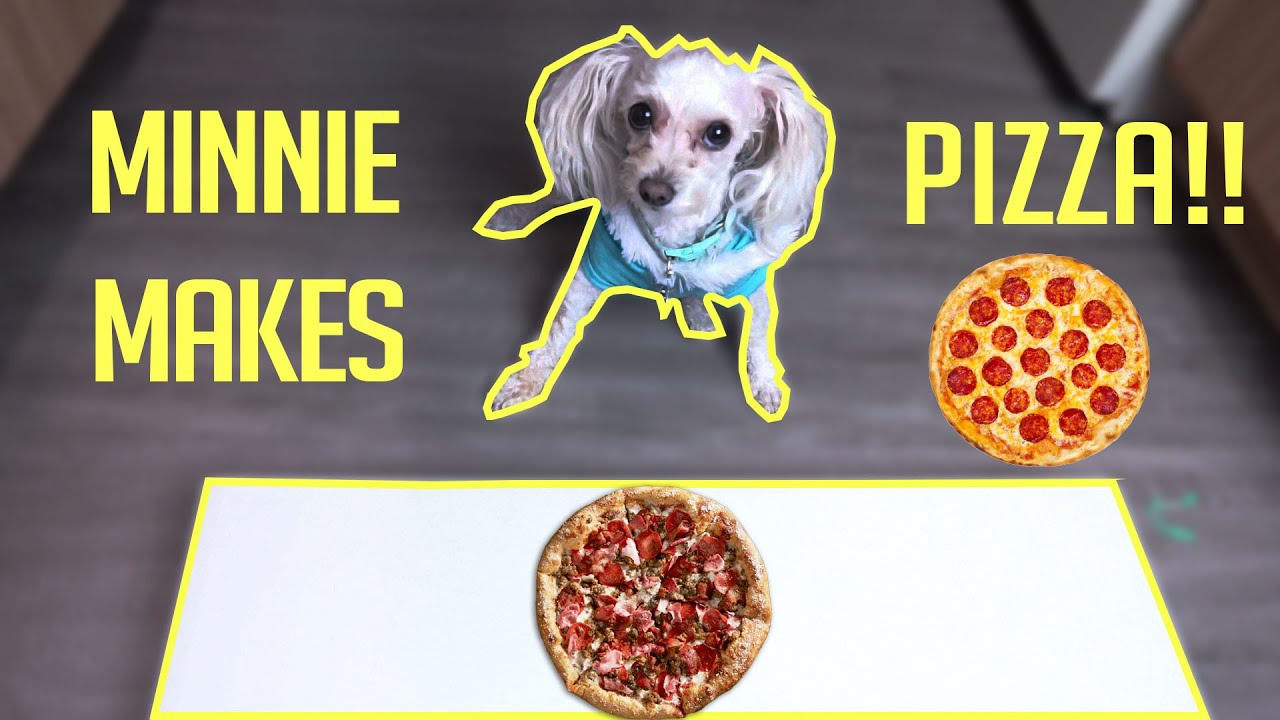 Dog Makes Pizza | Funny Dog Videos | Minnie Makes Pizza | Pizza Making ...