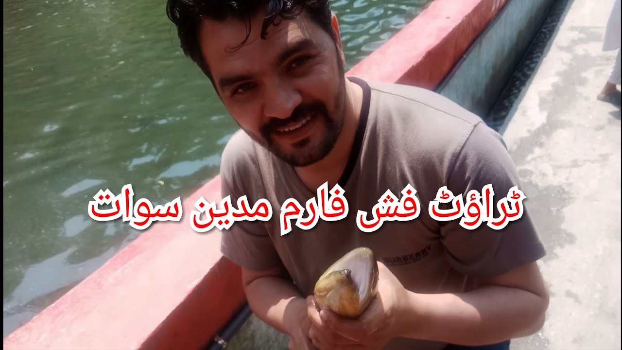 Vlog#13| Trout Fish | Trout Fish Park Madyan Swat | King of Taste - YouTube