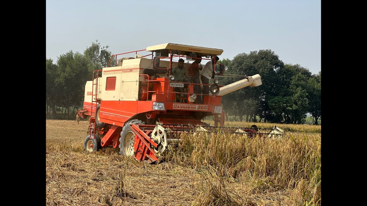 Dashmesh 9100 Combine Paddy Cutting.. - YouTube