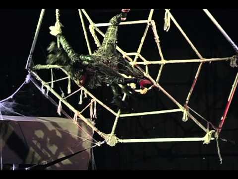 Kontorsion im Spinnennetz, Contortion in the spiderweb - YouTube