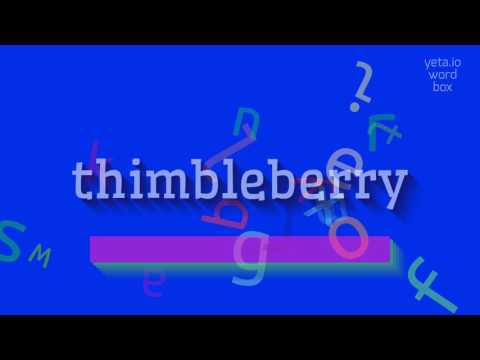 THIMBLEBERRY – WIE WIRD ES AUSgesprochen?  #Fingerhutbeere (THIMBLEBERRY - HOW TO PRO
