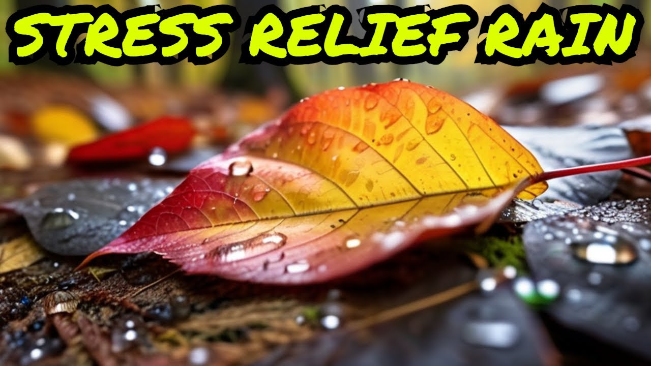 Don't Miss the Rain Washing away Stress - YouTube