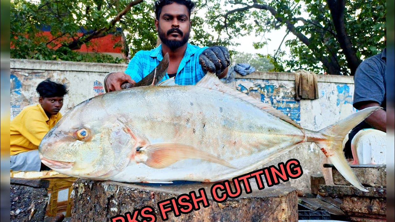 @ RKS FISH CUTTING 🐠🐠 KASIMEDU - YouTube