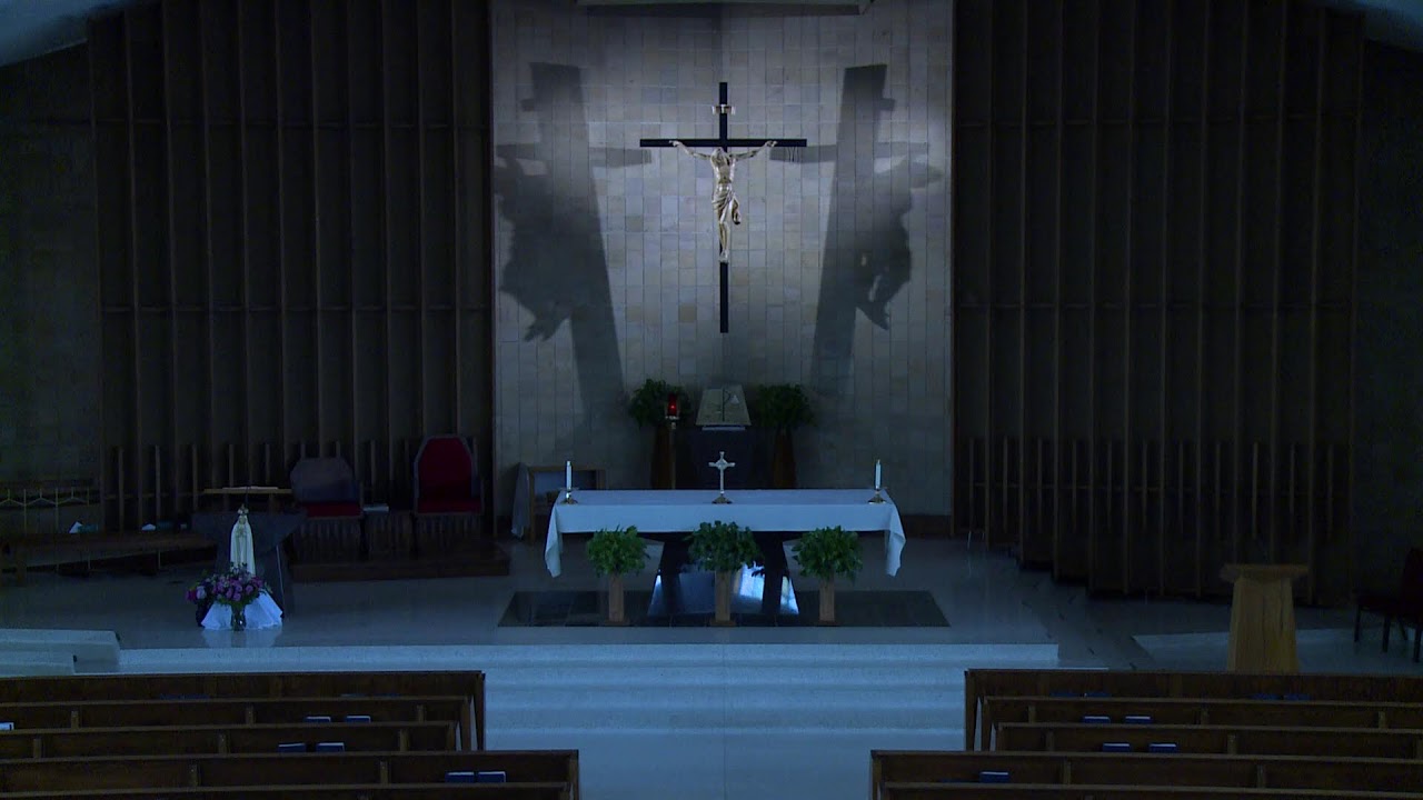Twentieth Sunday in Ordinary Time 11 AM Mass - YouTube