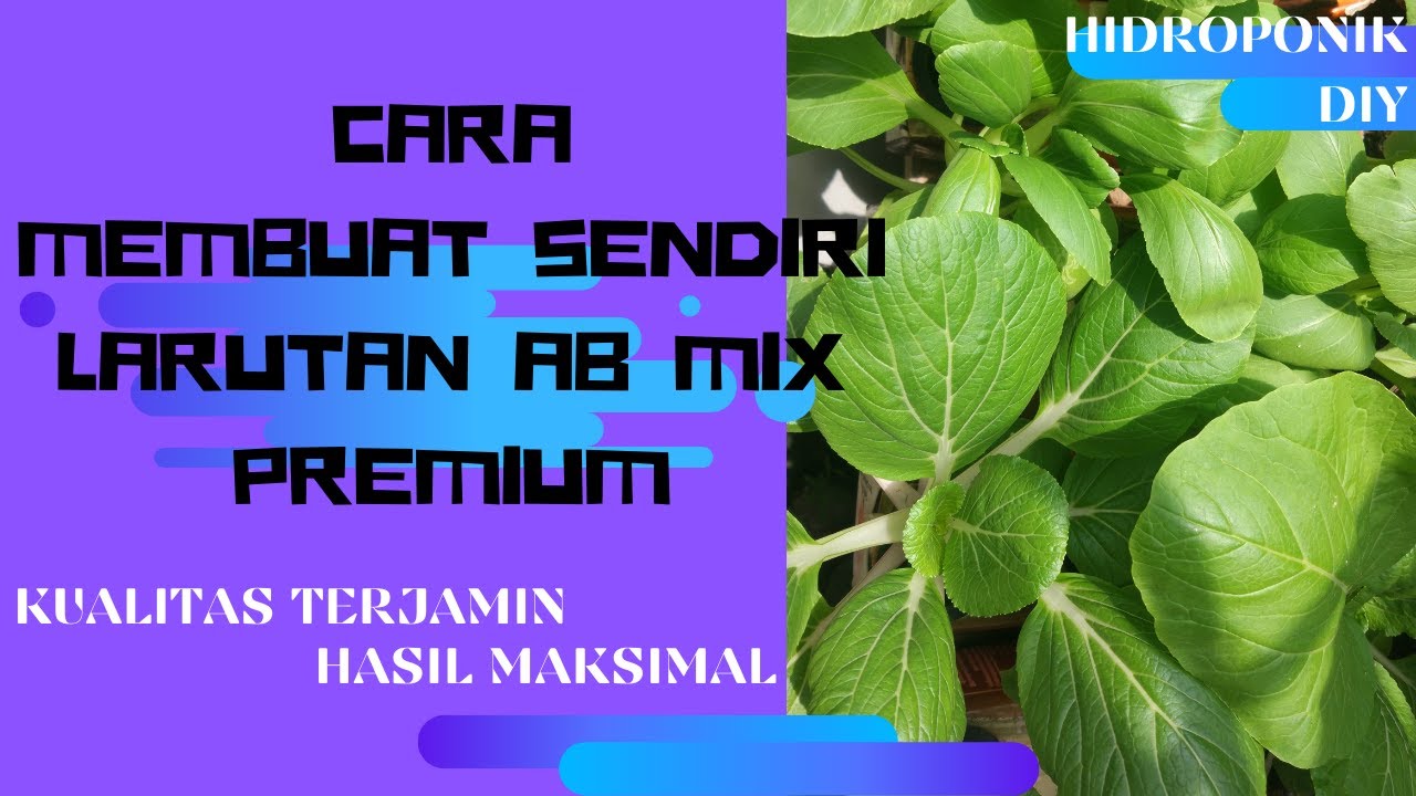 DIY HIDROPONIK | CARA MEMBUAT LARUTAN AB MIX PREMIUM HIDROPONIK DIRUMAH ...