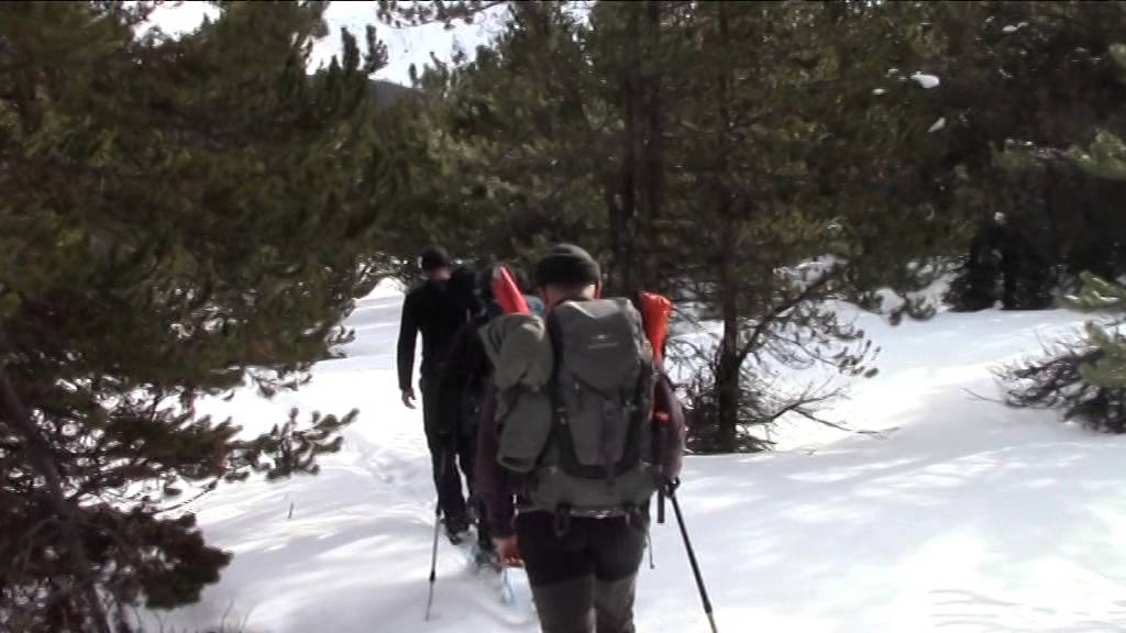 Wolf Tracking - YouTube