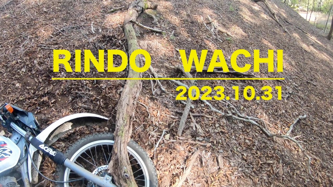 ROINDO WACHI 2023 10 31 - YouTube